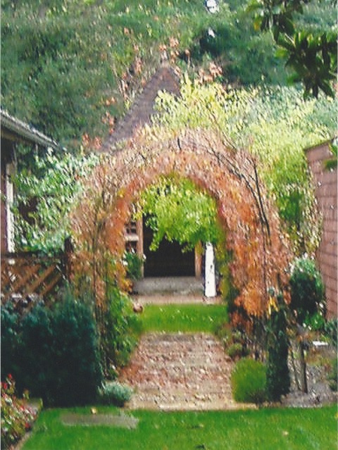 Landscaping Design, Landscape Architecture, Alameda, California, CA